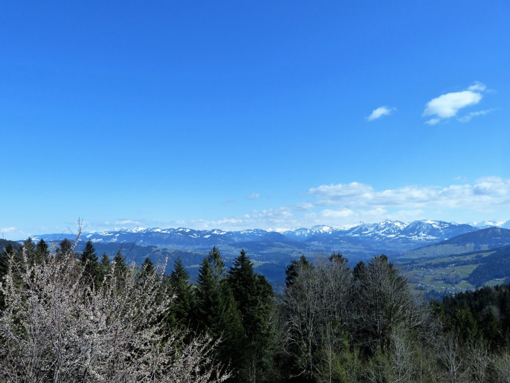 Wanderung auf den Pfänder - dem Aussichtsberg von Bregenz - Moosbrugger ...