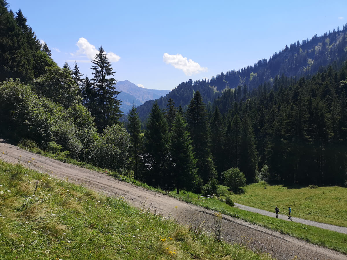 Schöne E-Mountainbike Tour von Hohenems zur Alpe Gsohl - Schöner Mann ...